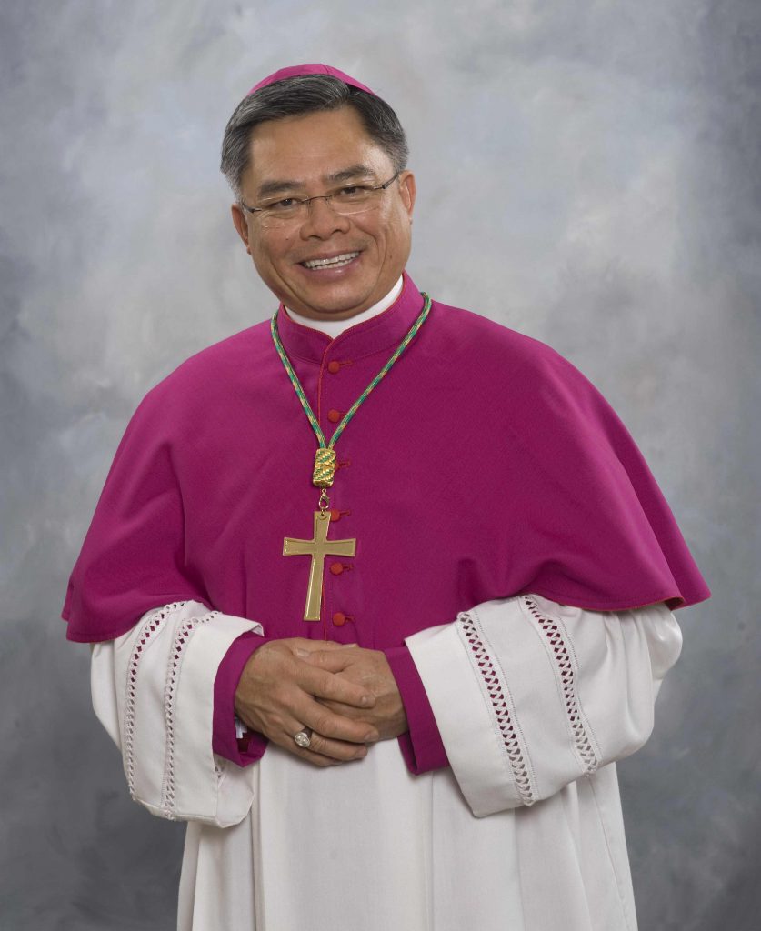 Diocesan Information – OLPH Catholic School